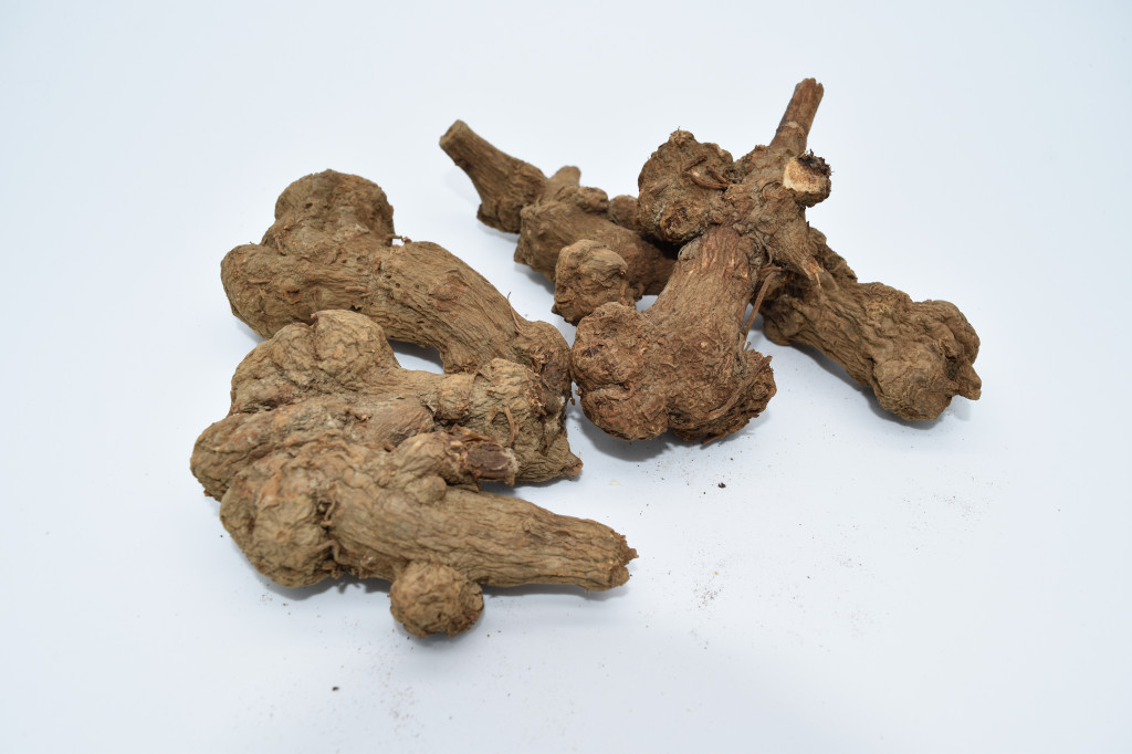 Atractylodes Rhizome - Hangzhou Botanical Technology Co., Ltd.